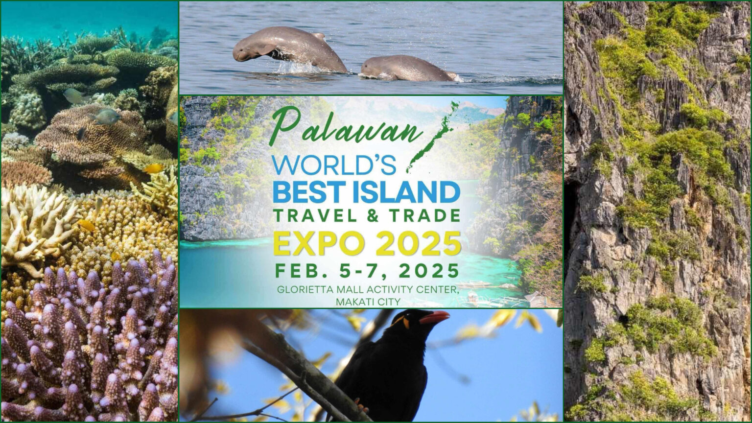 Palawan Launches Travel and Trade Expo 2025 to Promote and Boost ...